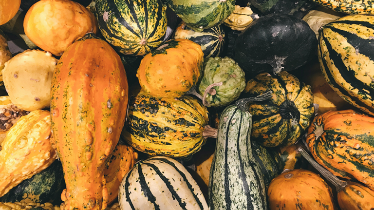 What Foods to Eat This Fall - National Breast Cancer Foundation