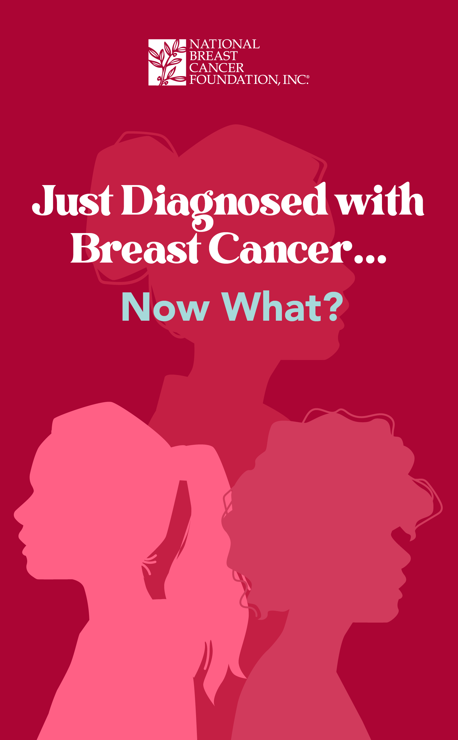 Just Diagnosed with Breast Cancer... Now What? eBook - National Breast ...